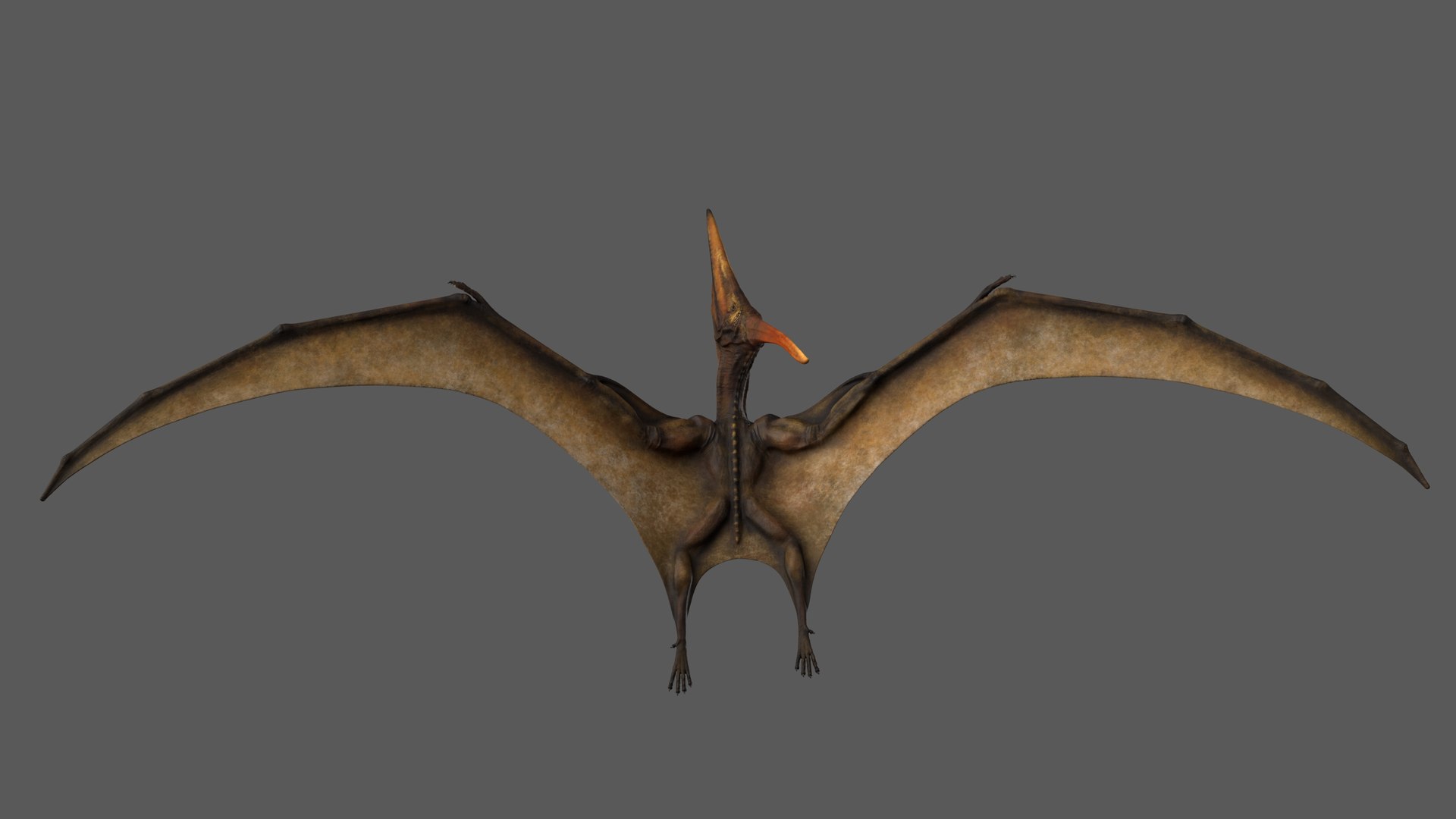 3D Rigged Pteranodon Longiceps - TurboSquid 1519330