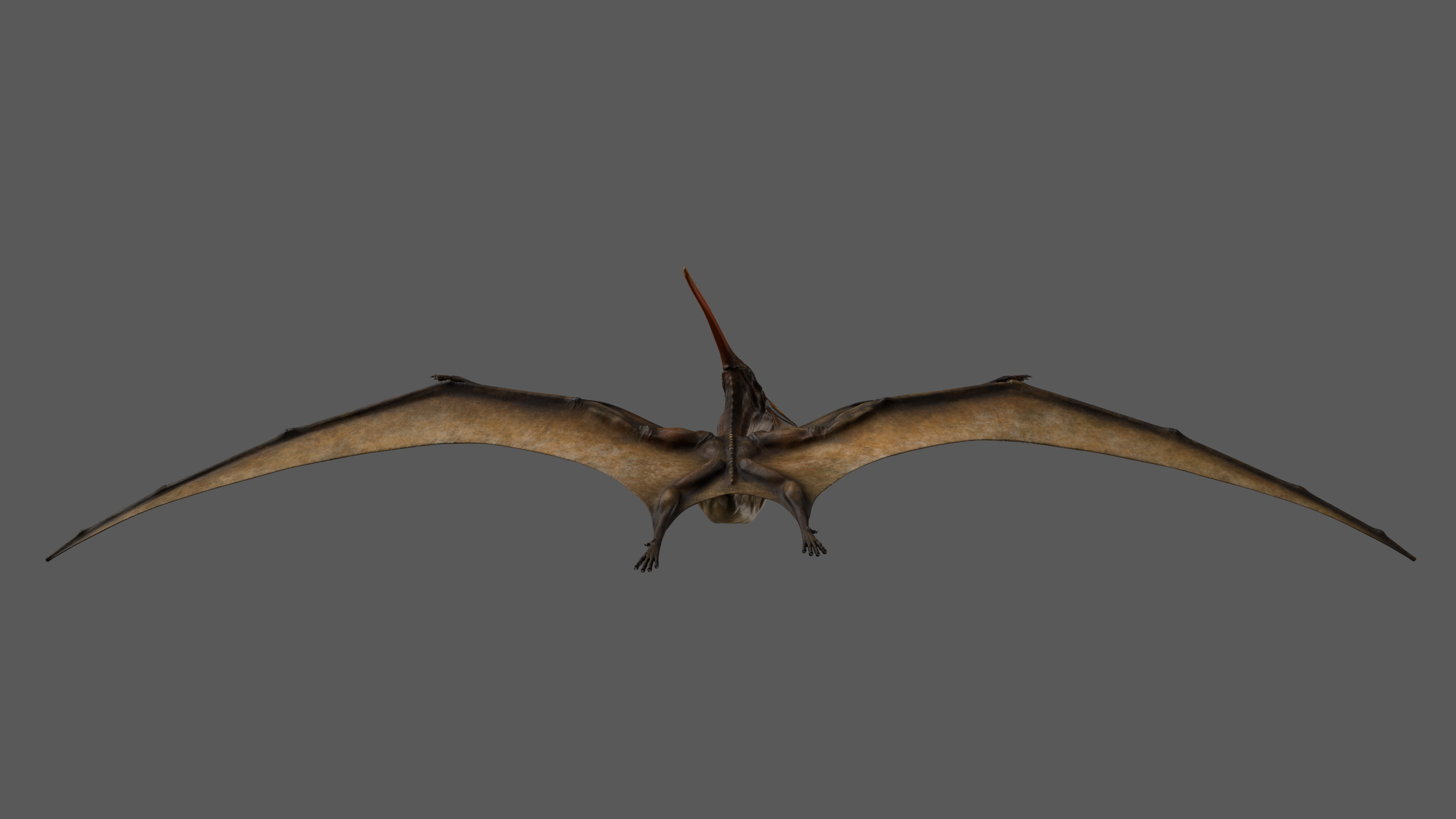 3D rigged pteranodon longiceps - TurboSquid 1519330