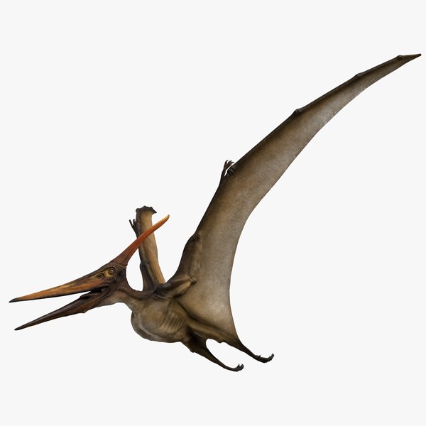 3D rigged pteranodon longiceps cyan model - TurboSquid 1519395