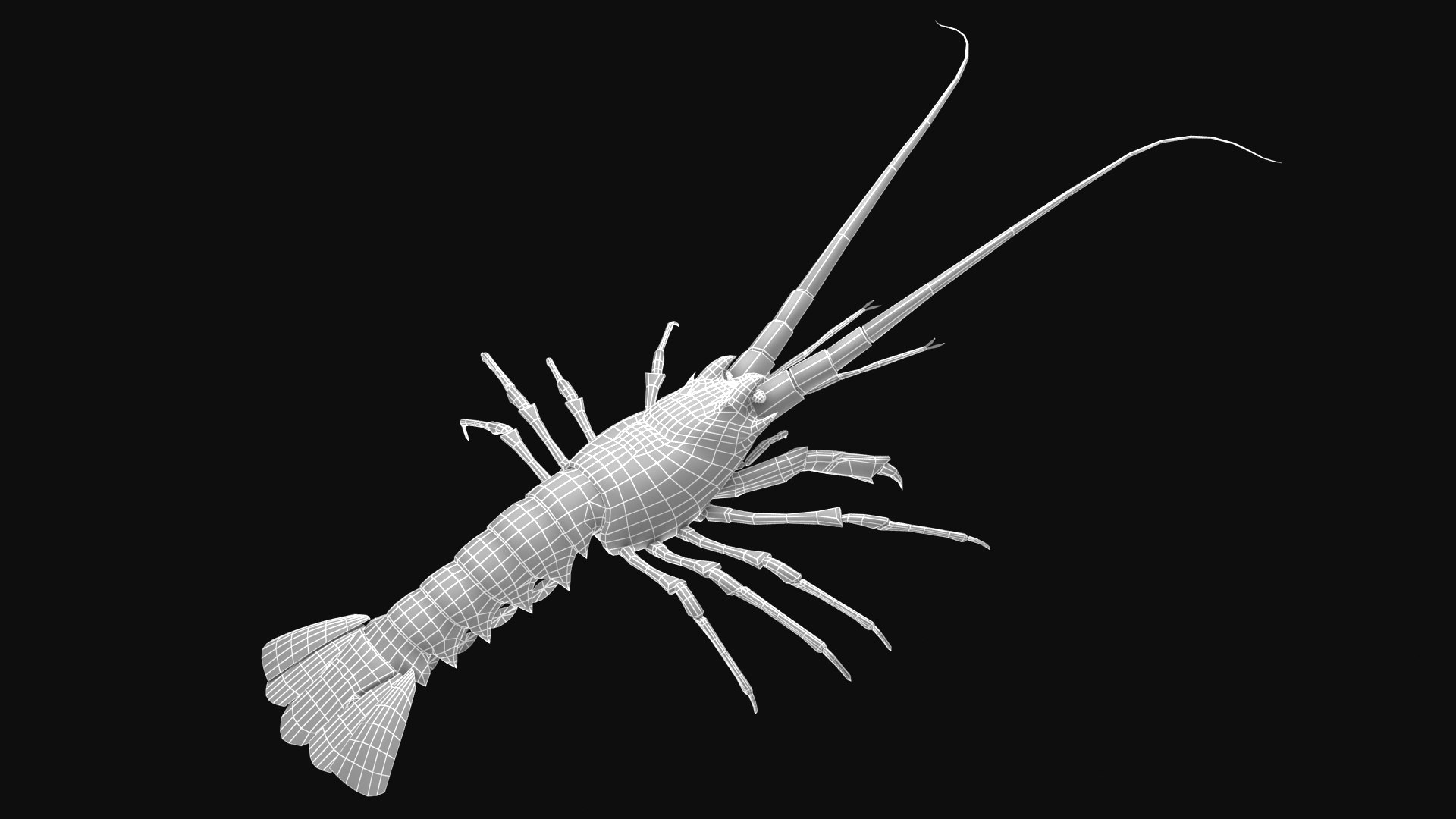 3D Animated Lobster Shrimp - TurboSquid 2152666