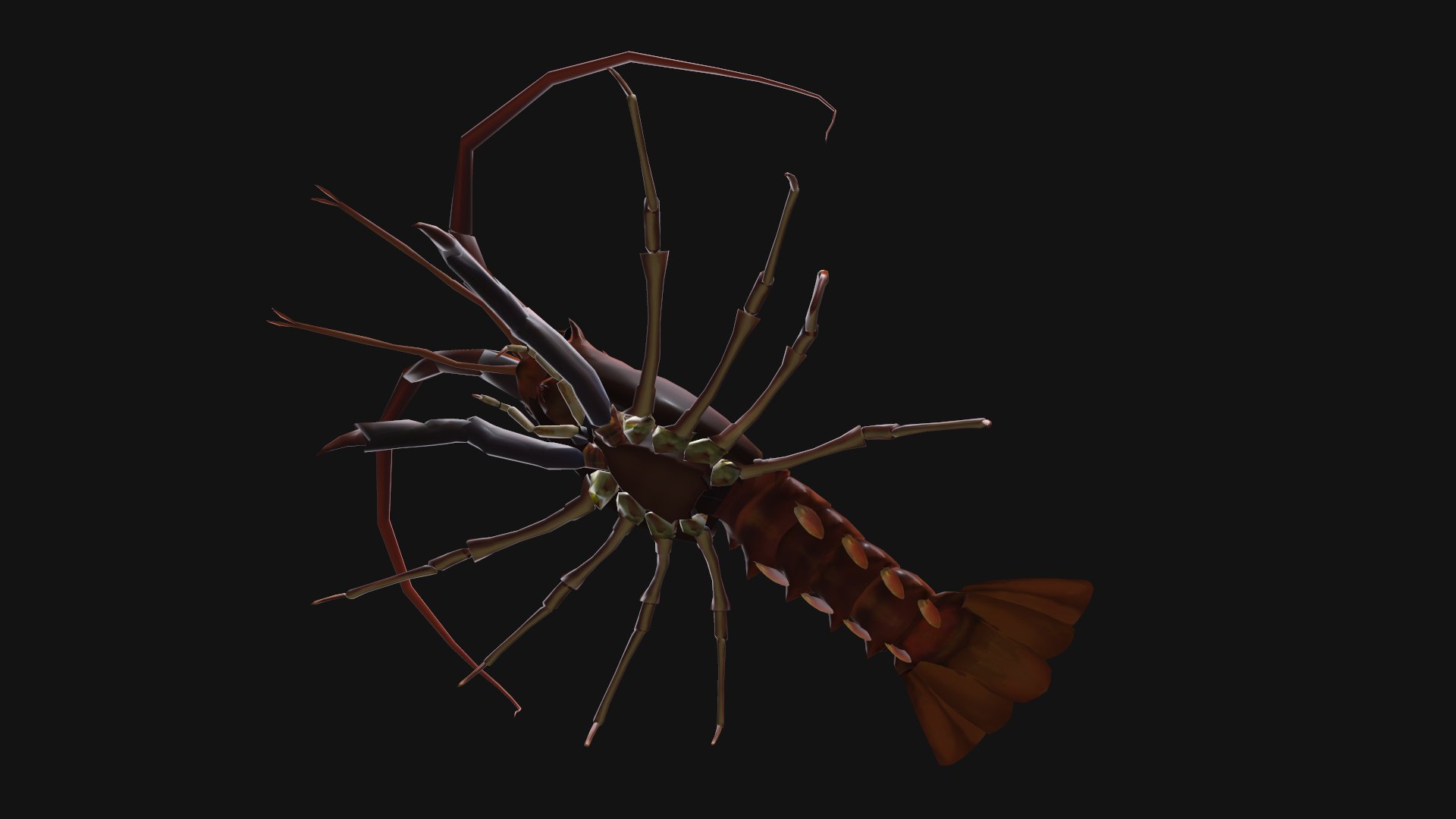 3D Animated Lobster Shrimp - TurboSquid 2152666