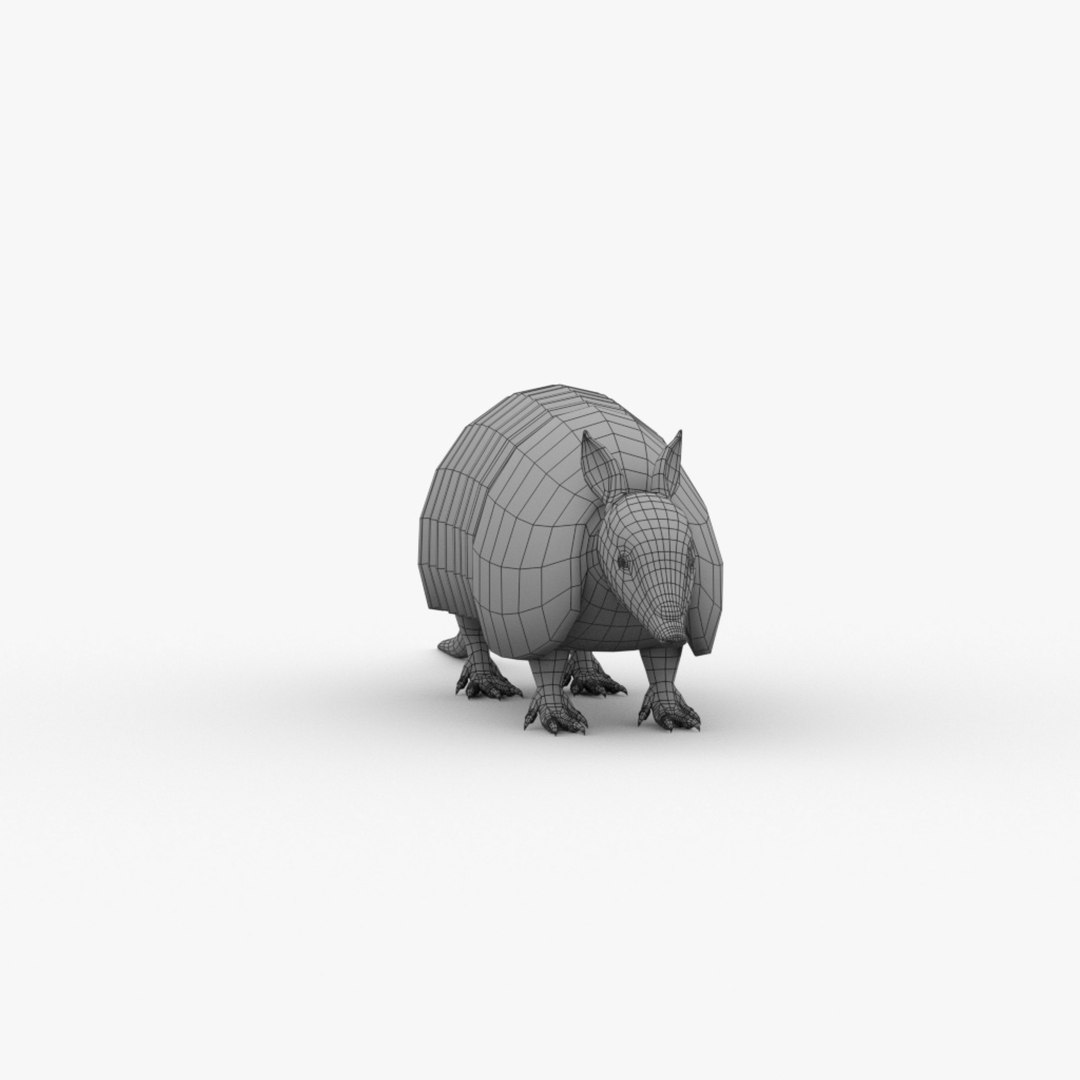 modelo 3d armadillo basemesh - TurboSquid 2006859