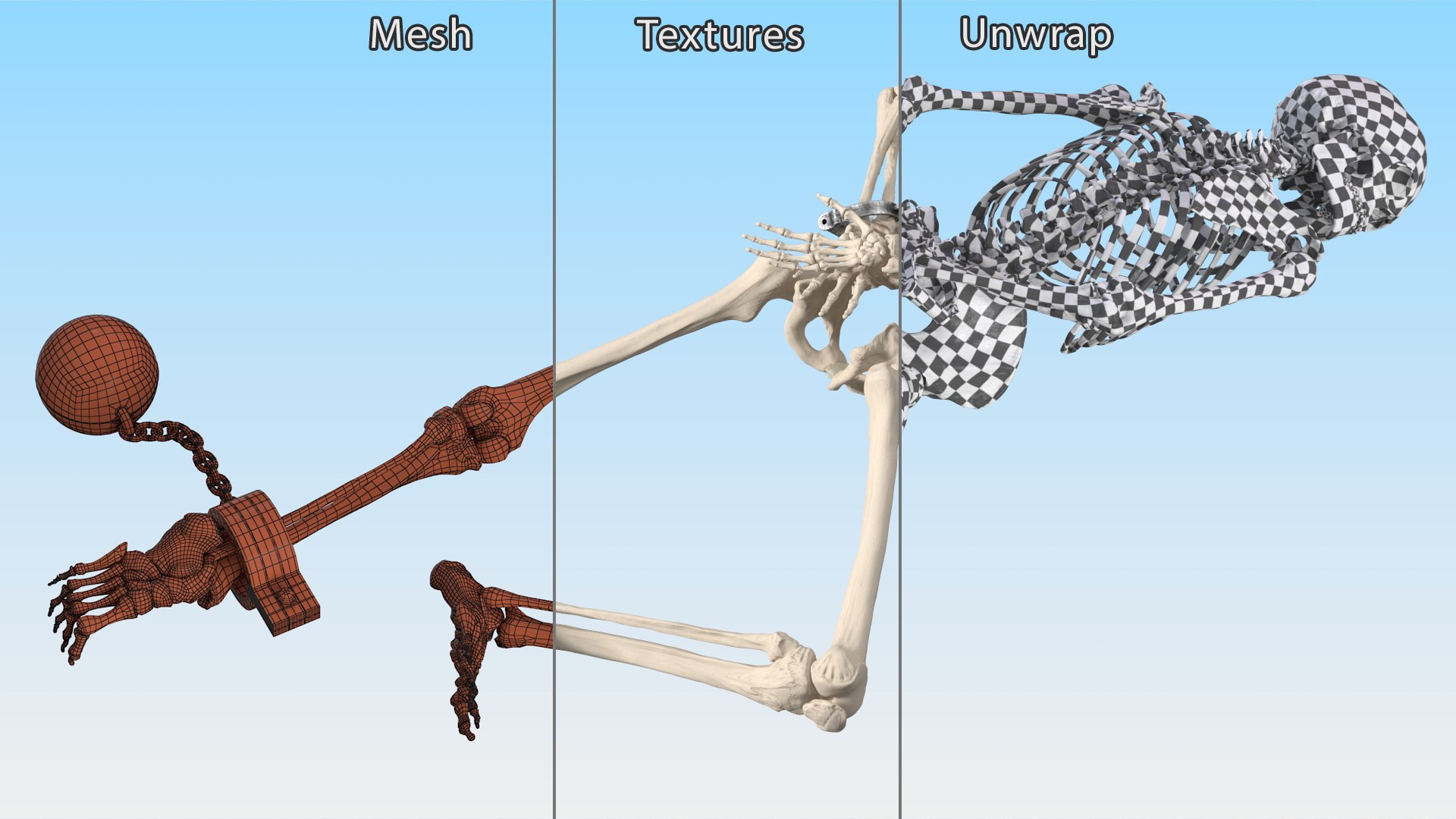 3D Dead Human Male Skeleton Shackled model - TurboSquid 2113236