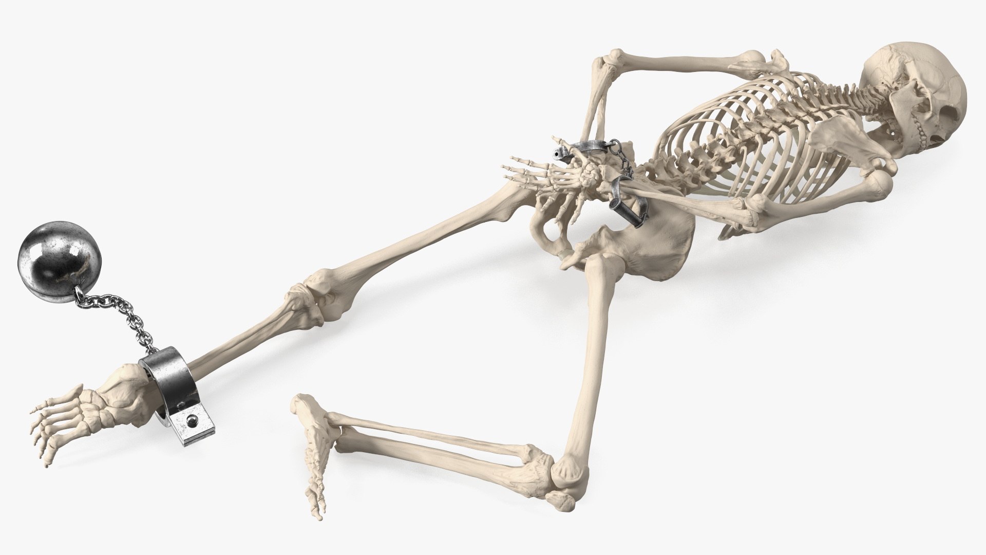 3D Dead Human Male Skeleton Shackled Model - TurboSquid 2113236