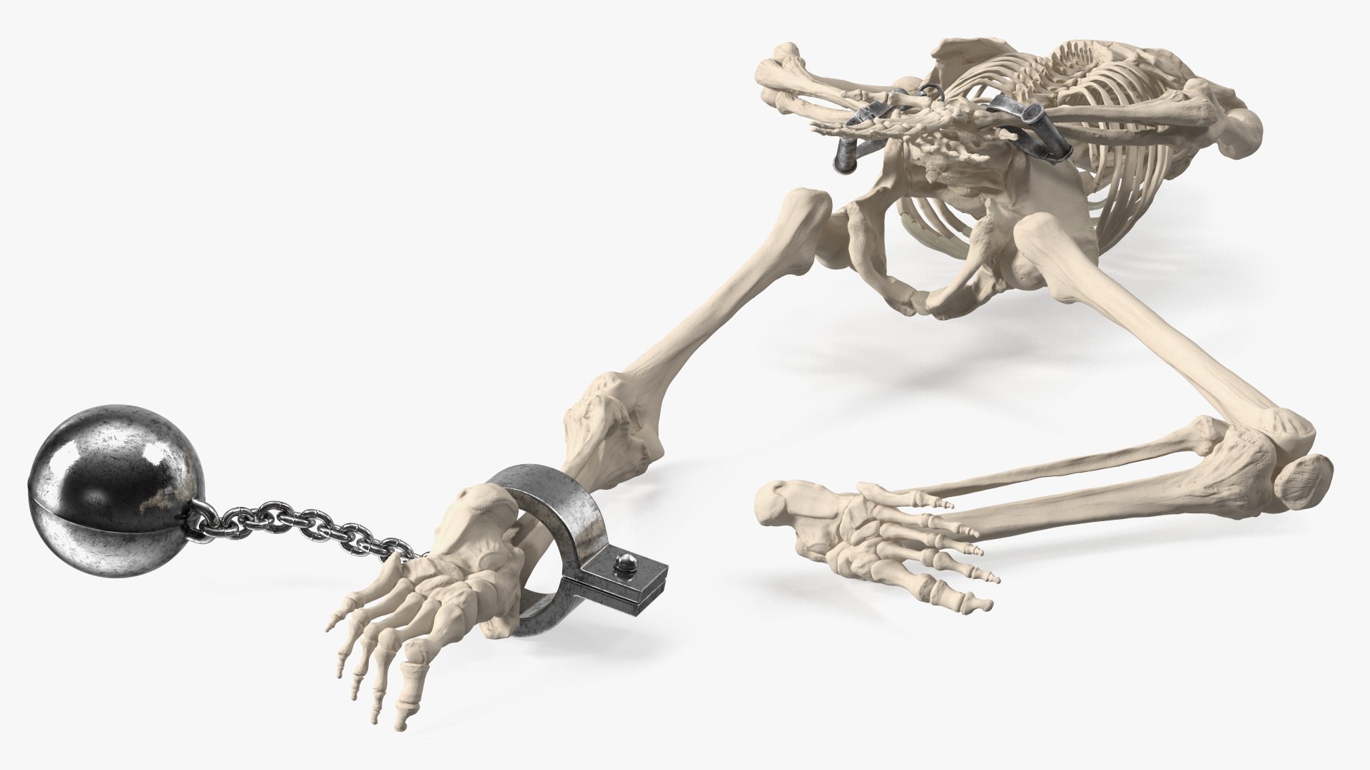 3D Dead Human Male Skeleton Shackled Model - TurboSquid 2113236