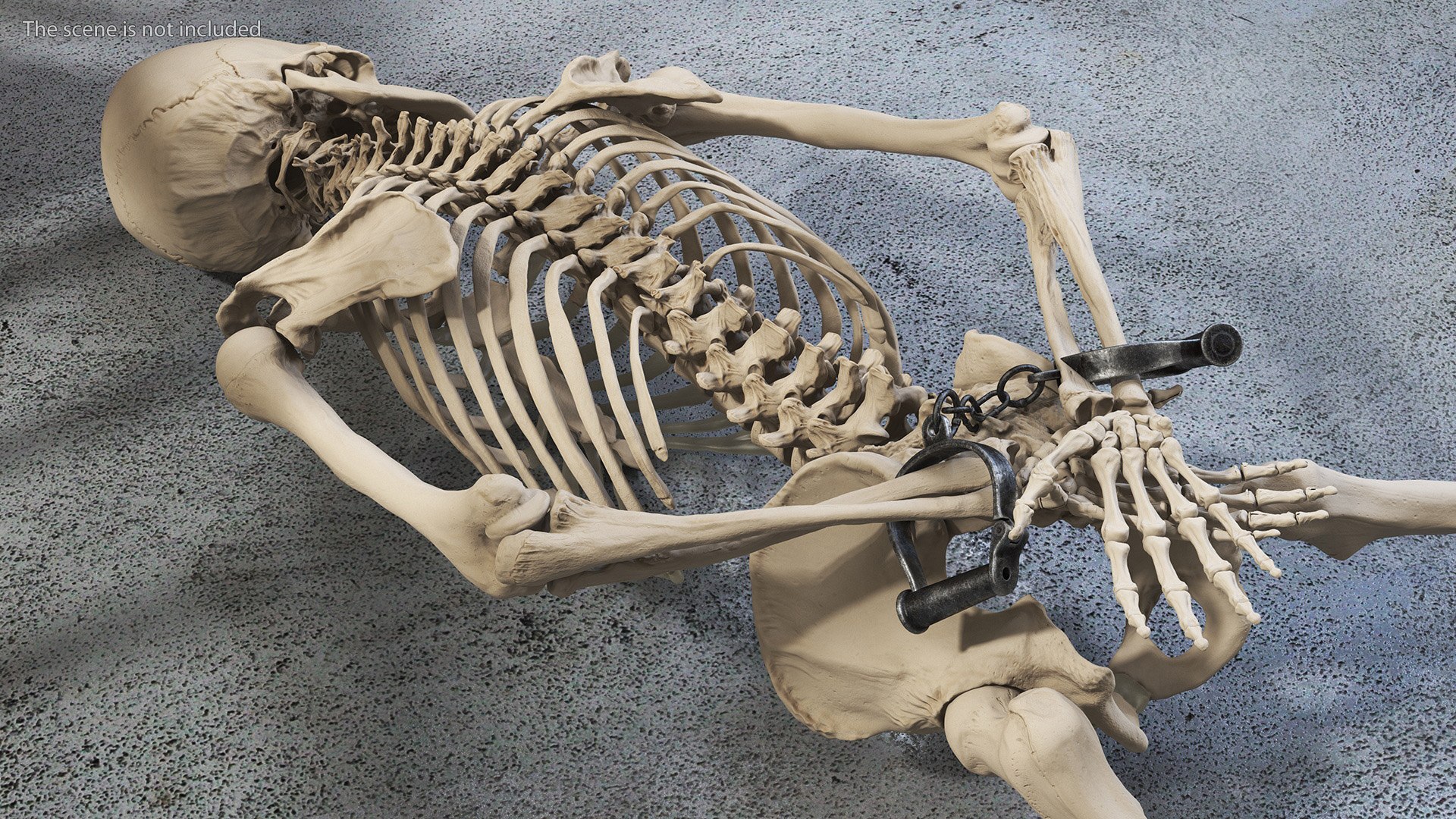 3D Dead Human Male Skeleton Shackled Model - TurboSquid 2113236