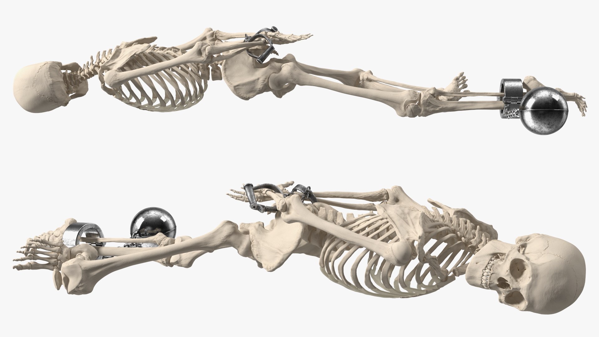 3D Dead Human Male Skeleton Shackled model - TurboSquid 2113236