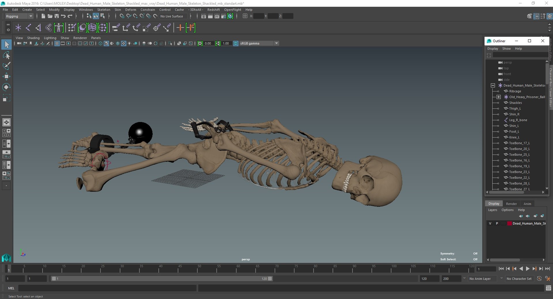 3D Dead Human Male Skeleton Shackled model - TurboSquid 2113236