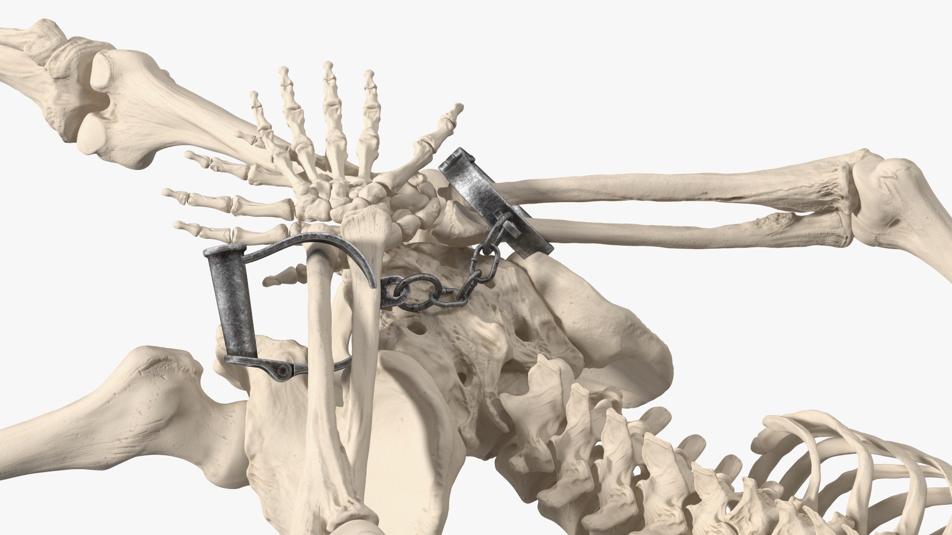 3D Dead Human Male Skeleton Shackled model - TurboSquid 2113236