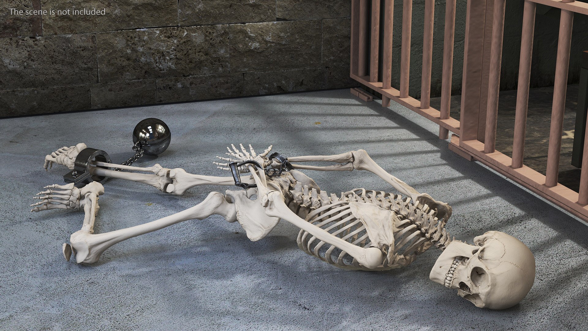 3D Dead Human Male Skeleton Shackled Model - TurboSquid 2113236