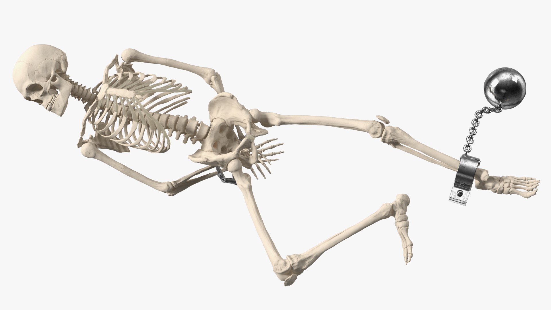 3D Dead Human Male Skeleton Shackled model - TurboSquid 2113236