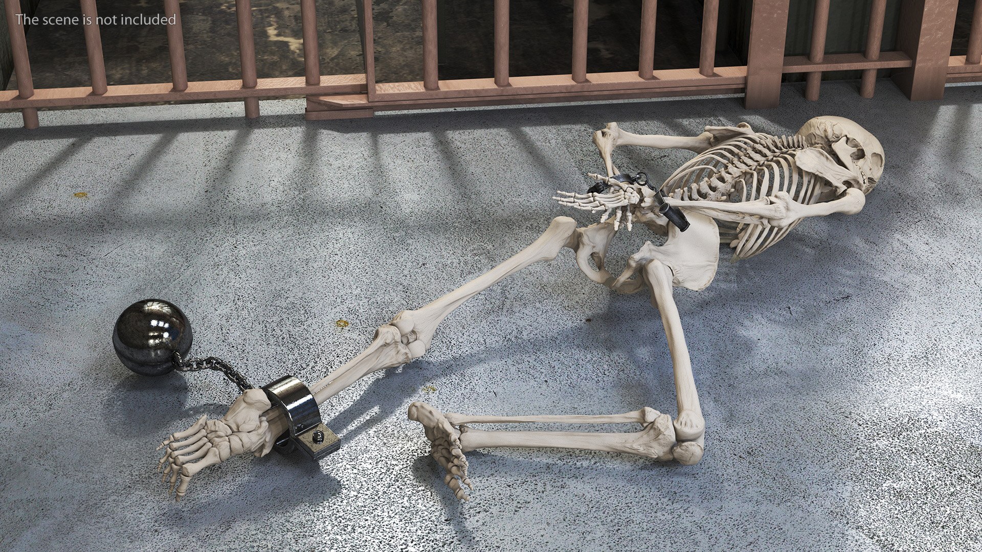 3D Dead Human Male Skeleton Shackled Model - TurboSquid 2113236