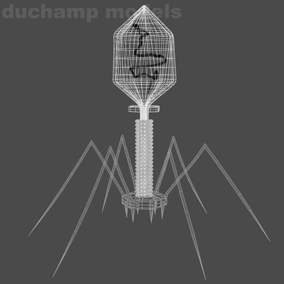 3D 3D Studio bacteriophage virus phage