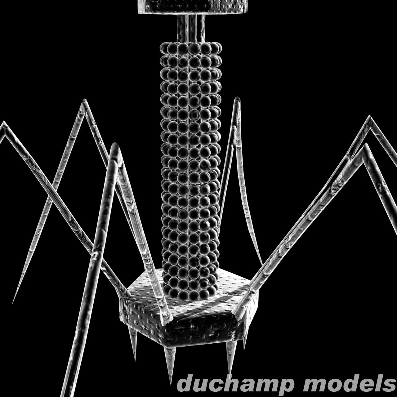 3D 3D Studio bacteriophage virus phage
