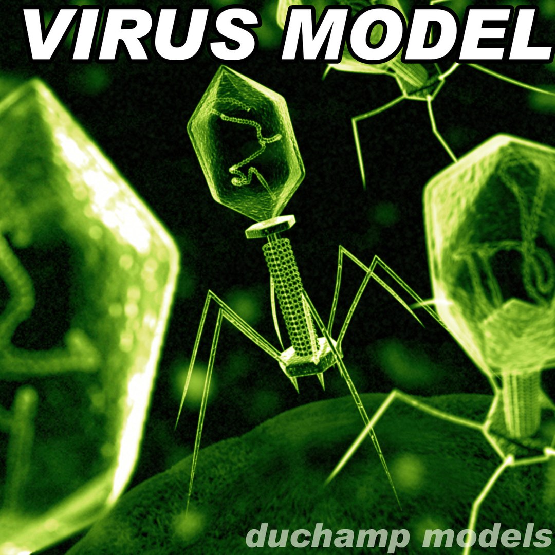 Bacteriophage Virus Model - TurboSquid 290182