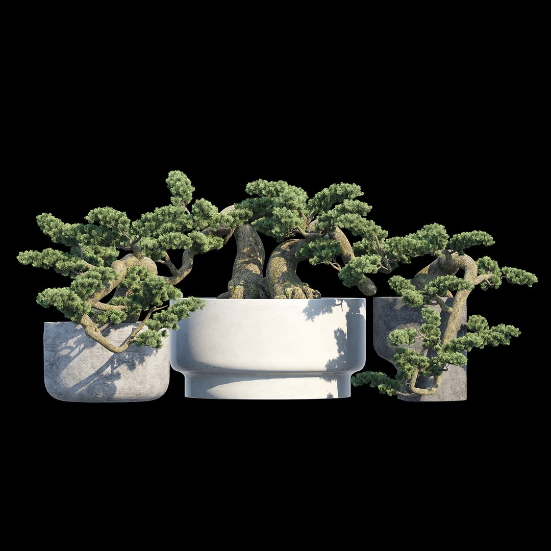 3D Bonsai - TurboSquid 2017466