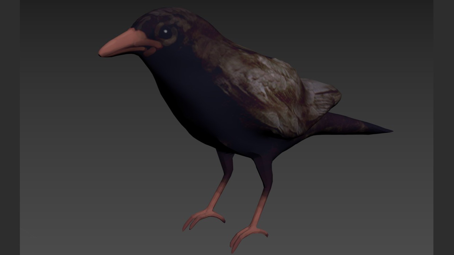 3D Crow Bird - TurboSquid 1719150