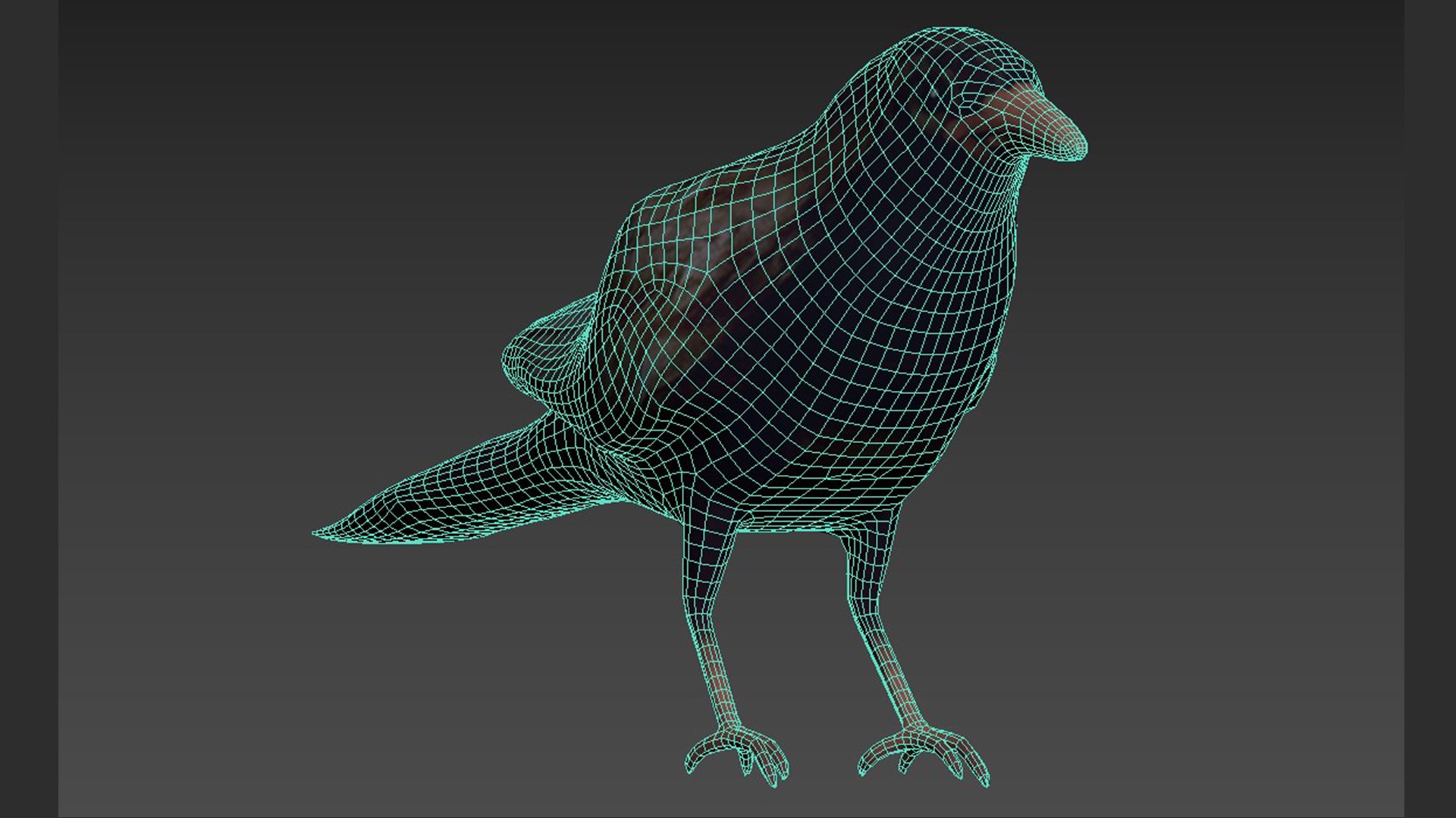 3D Crow Bird - TurboSquid 1719150