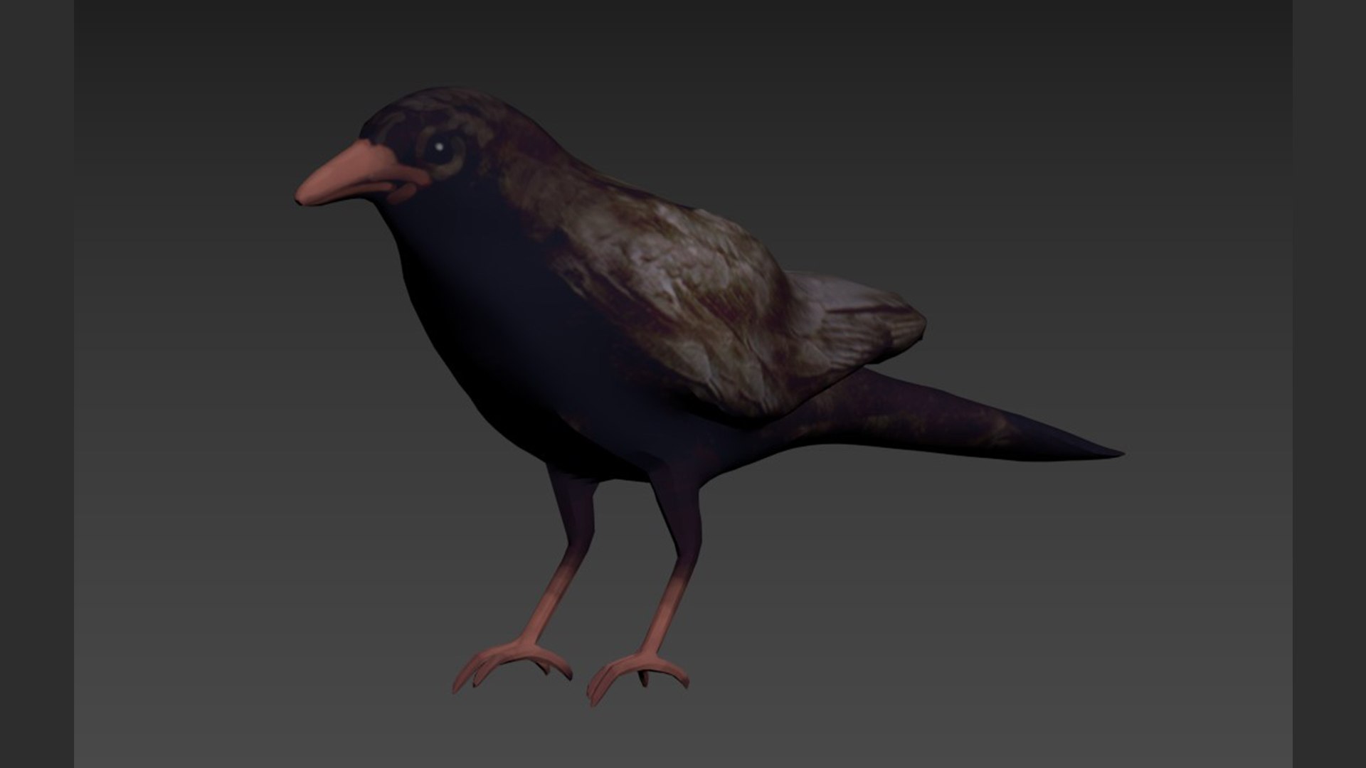 3D Crow Bird - TurboSquid 1719150