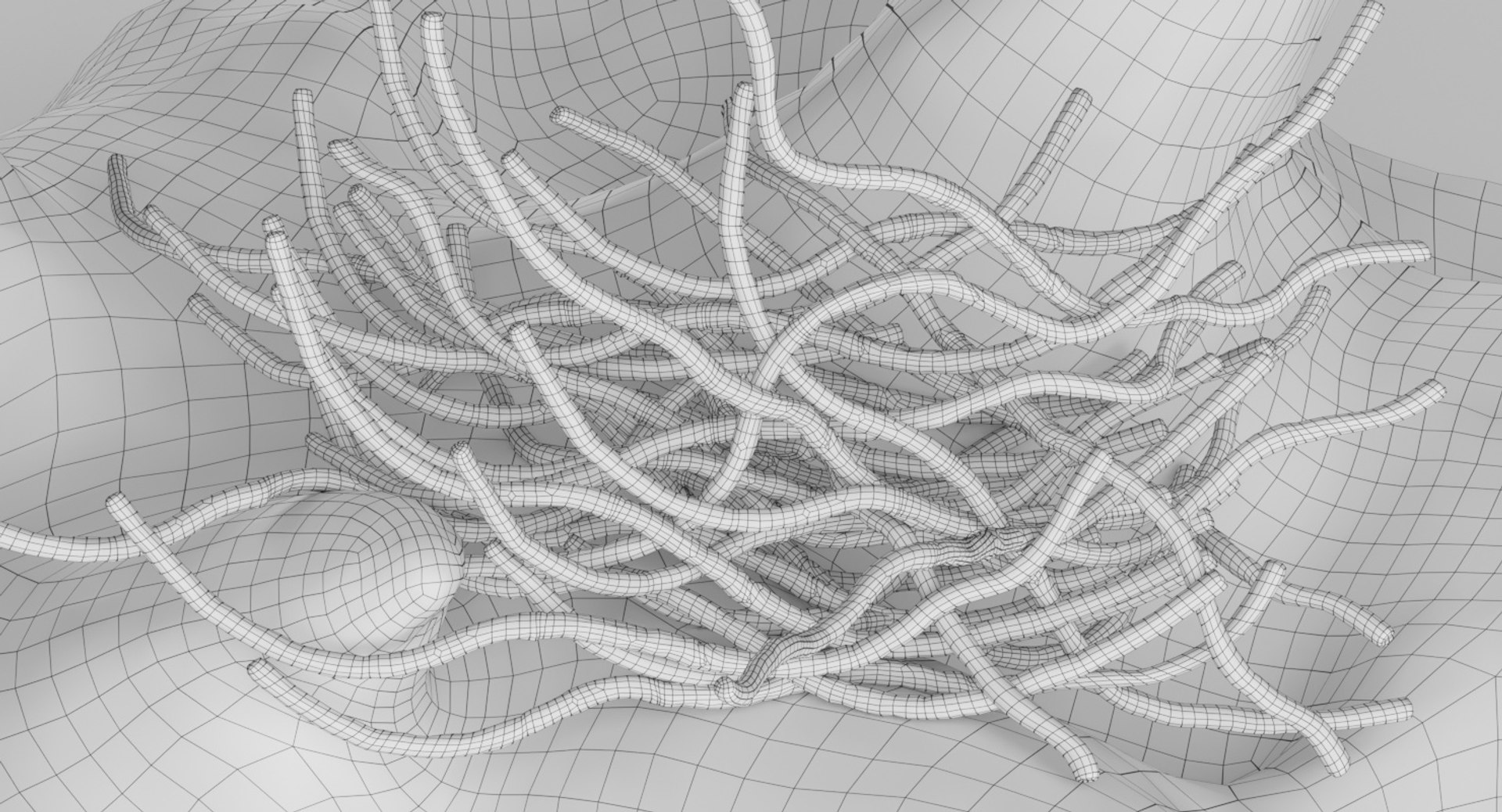 Bacterias anthrax 3D model - TurboSquid 1317399