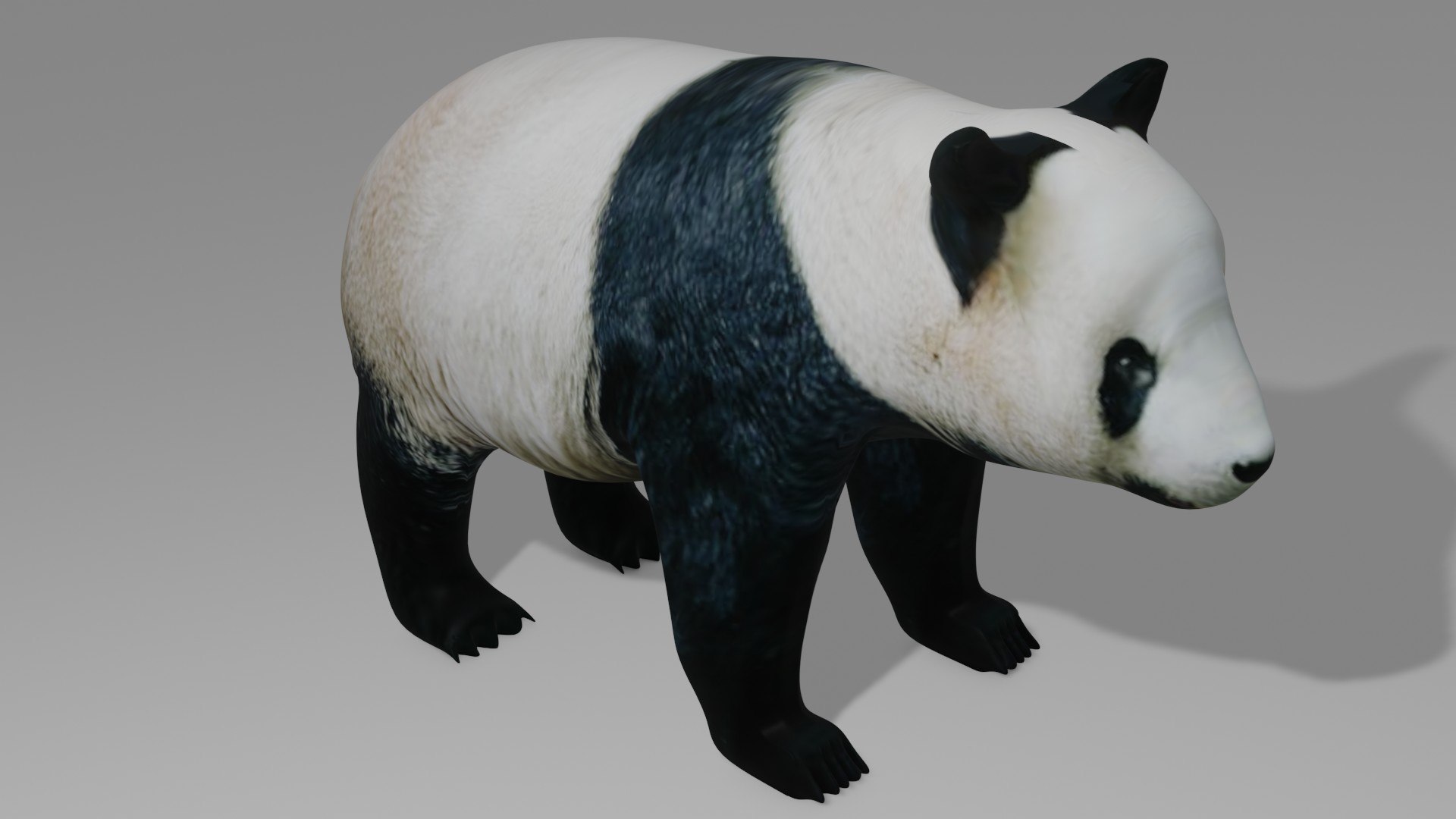 Panda OBJ 3D - TurboSquid 2245357