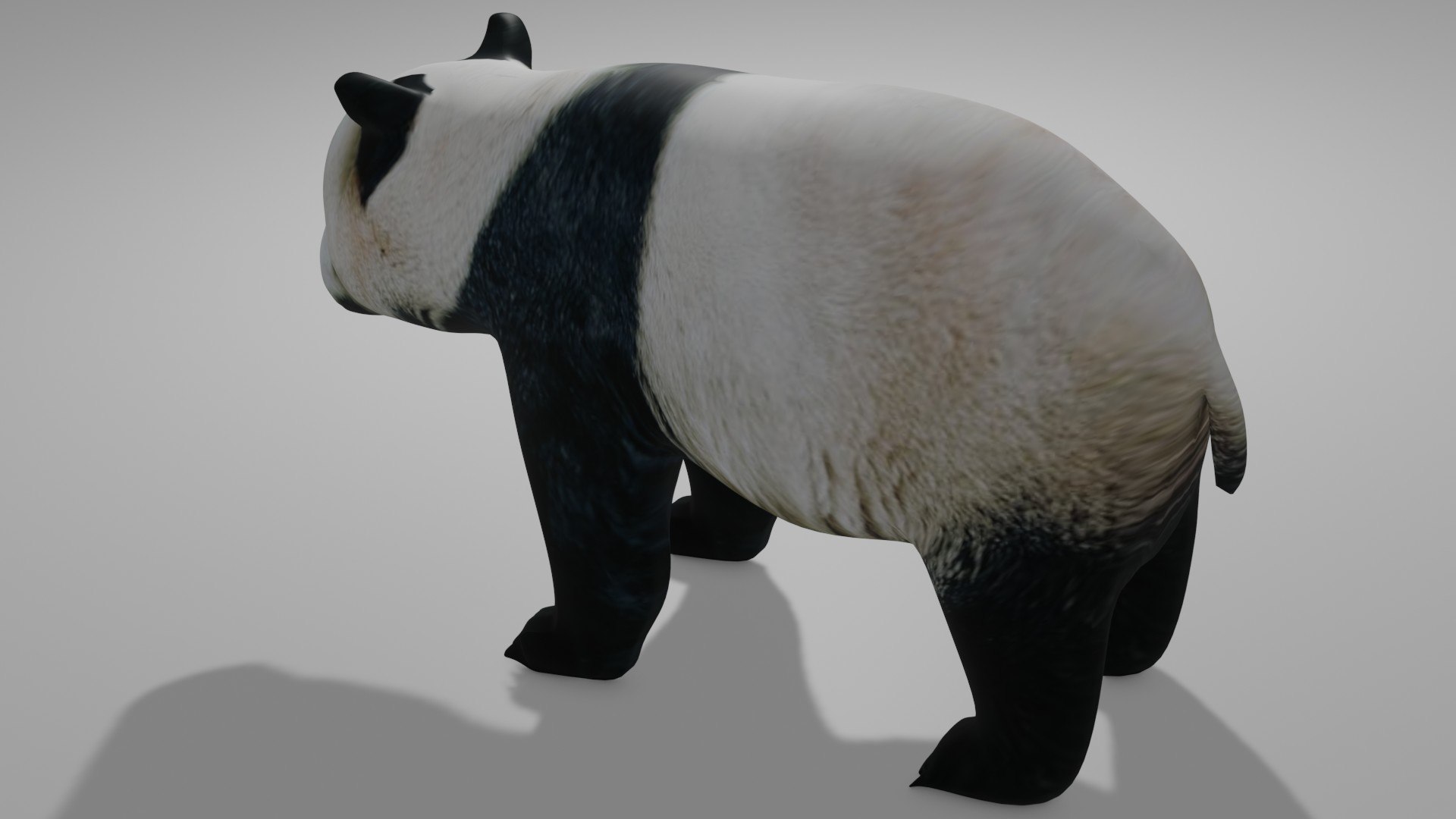 Panda OBJ 3D - TurboSquid 2245357