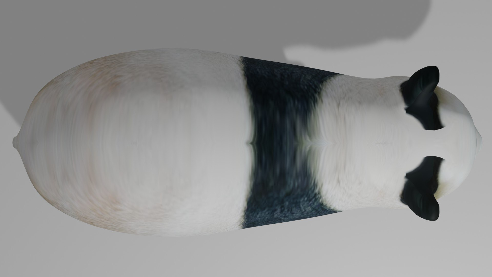Panda OBJ 3D - TurboSquid 2245357