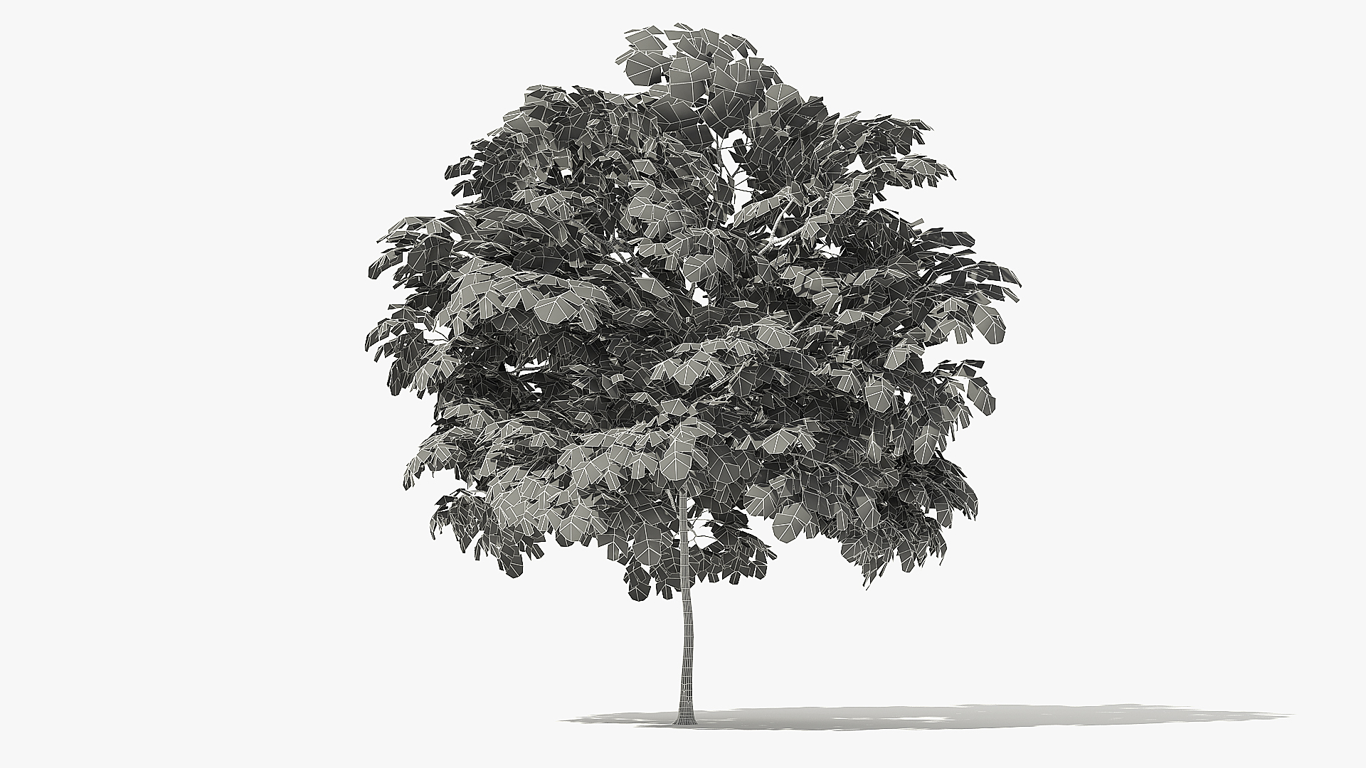 Autumn rock elm tree model - TurboSquid 1464487