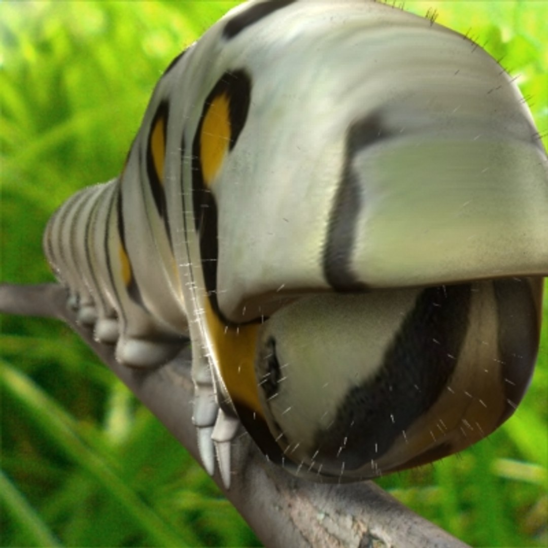 caterpillar 3d model