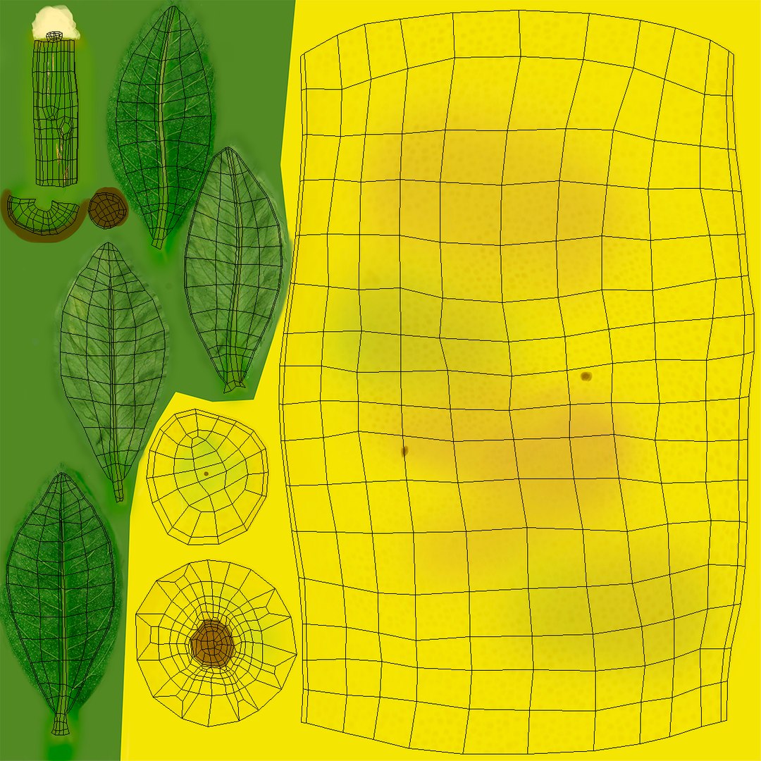 3D Realistic Lemon With Leaf Model - TurboSquid 2241542