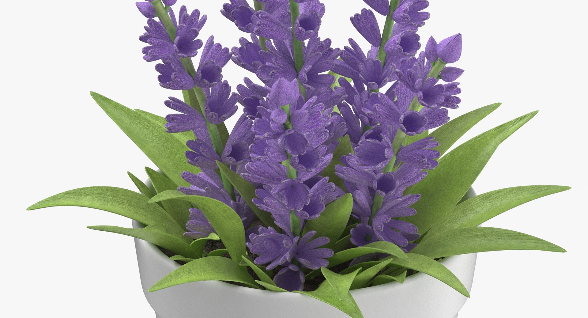 Prop 22 Lavender Plant model - TurboSquid 2146782