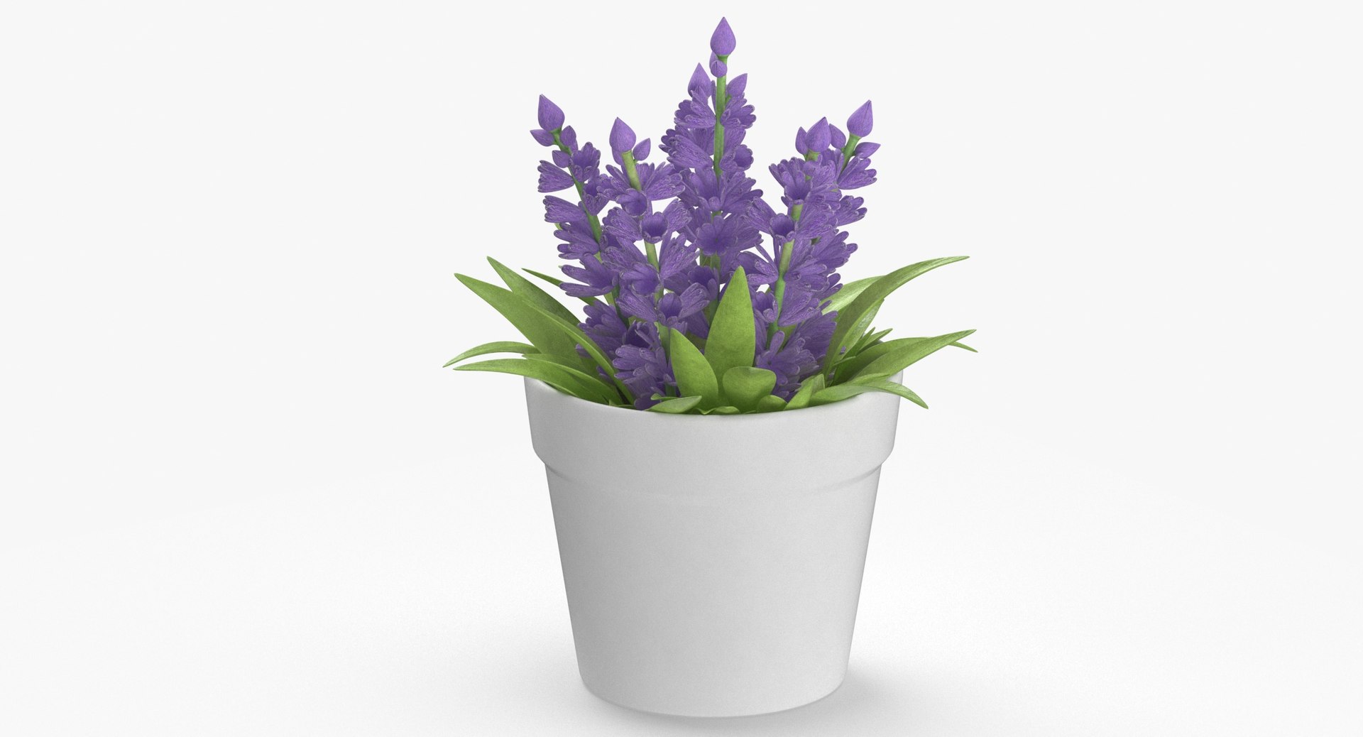 Prop 22 Lavender Plant model - TurboSquid 2146782