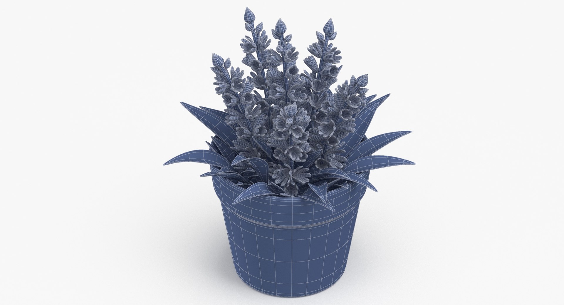 Prop 22 Lavender Plant Model - TurboSquid 2146782