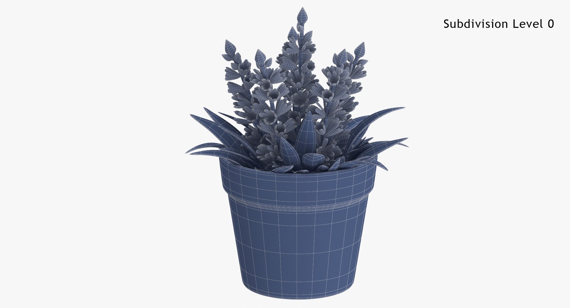 Prop 22 Lavender Plant model - TurboSquid 2146782