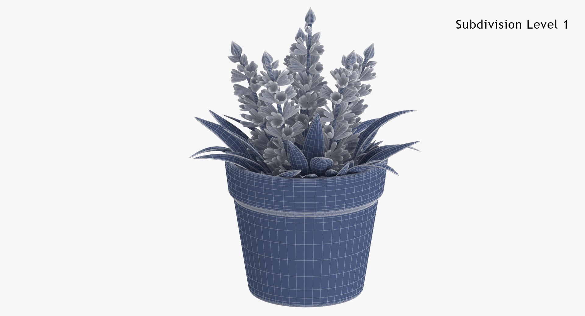 Prop 22 Lavender Plant model - TurboSquid 2146782