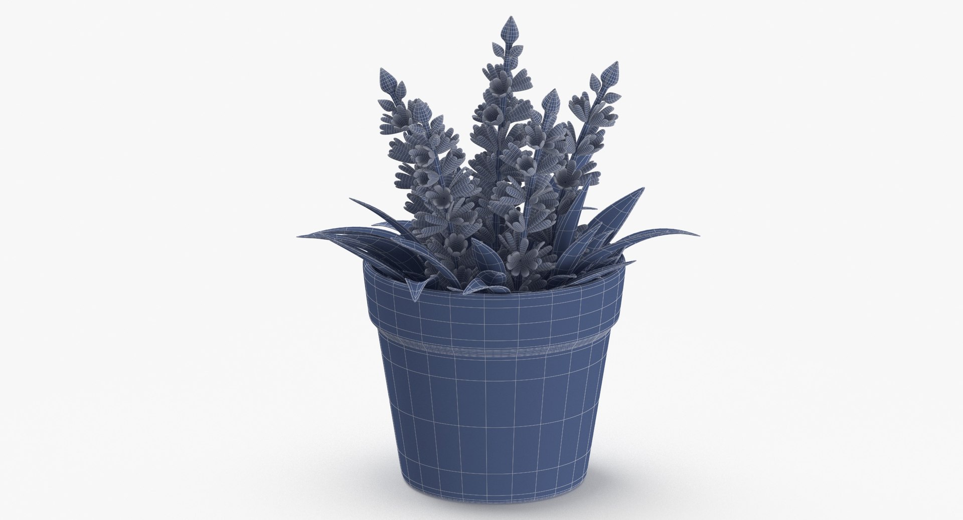 Prop 22 Lavender Plant Model - TurboSquid 2146782
