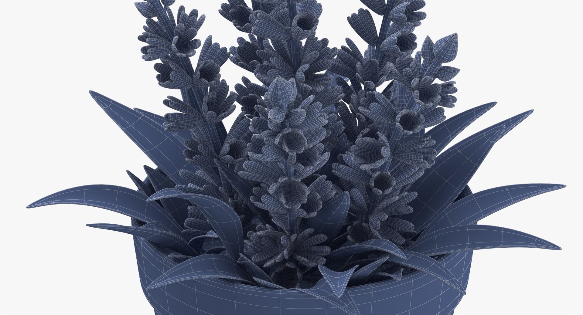 Prop 22 Lavender Plant model - TurboSquid 2146782