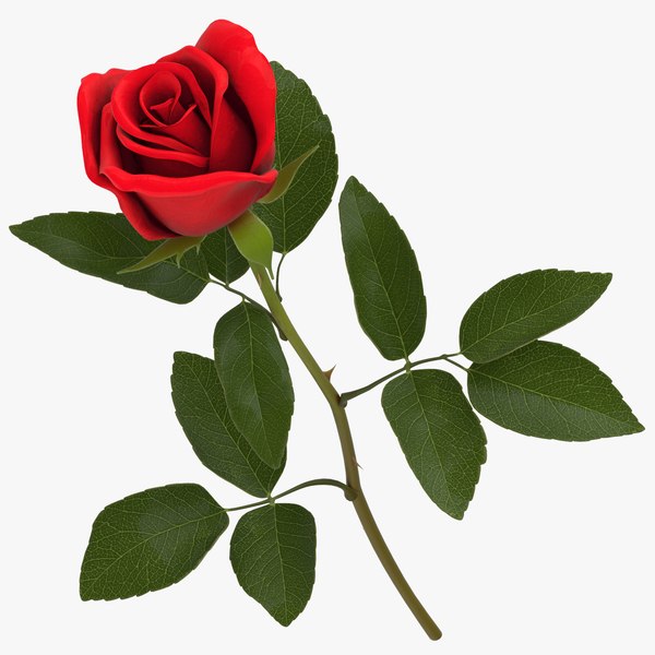 Free Low Poly 3D Roses Models | TurboSquid