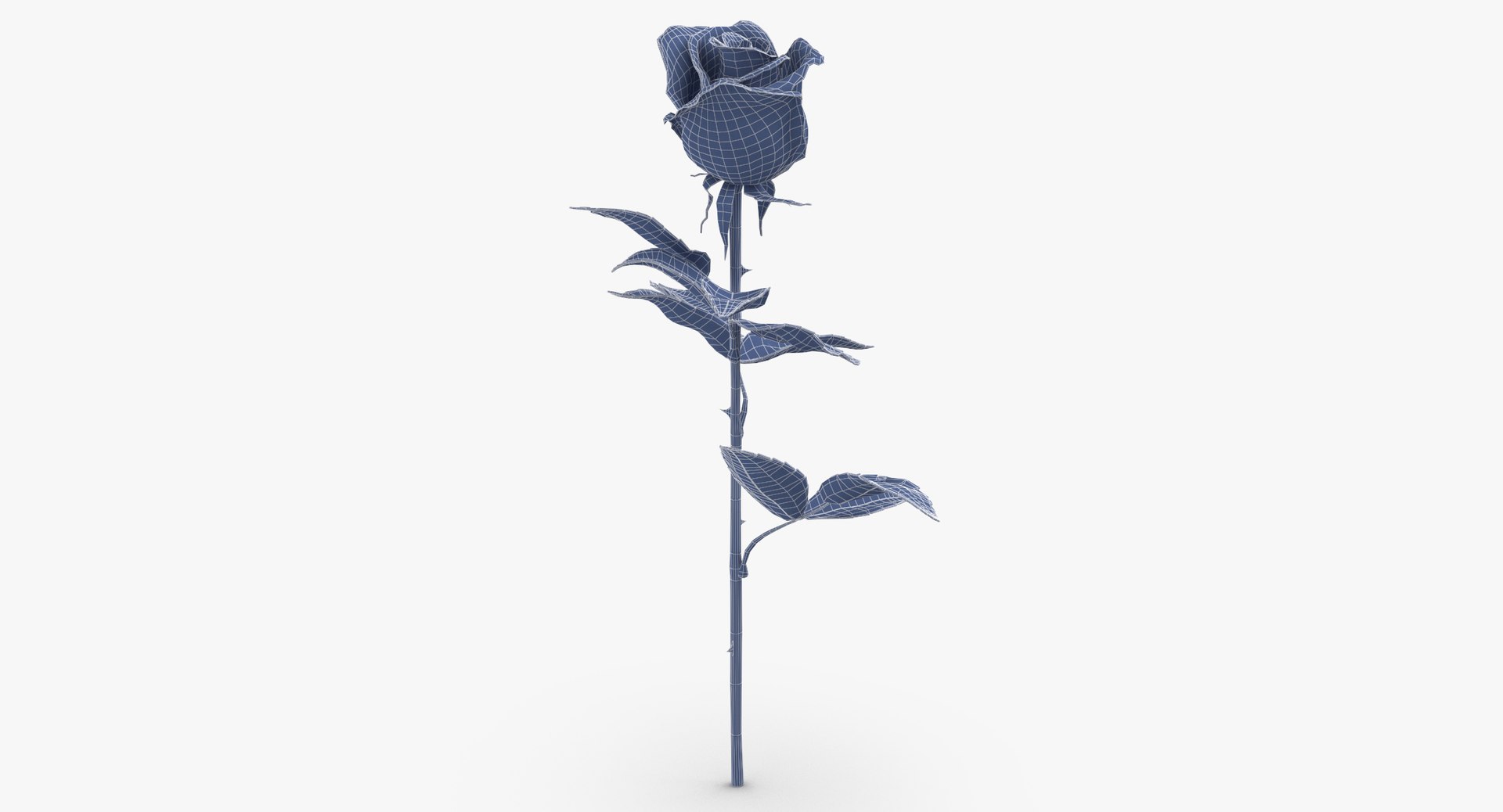 Rose red - 3D - TurboSquid 1344354