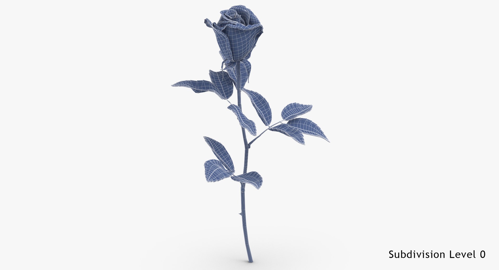 Rose red - 3D - TurboSquid 1344354