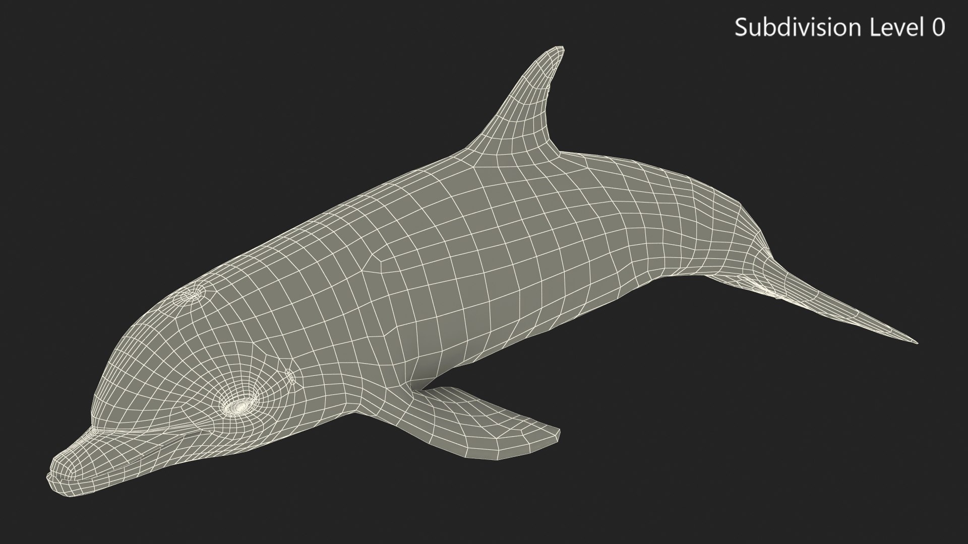 3D Dolphin Swimming Animated for Cinema 4D - TurboSquid 2136615