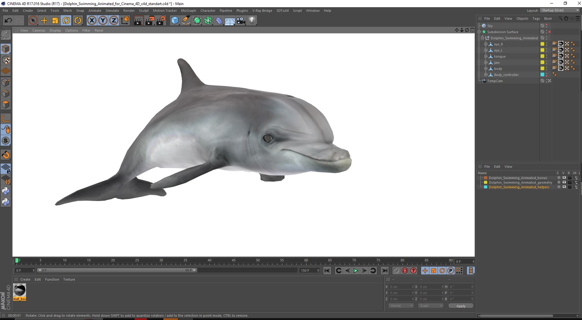 3D Dolphin Swimming Animated for Cinema 4D - TurboSquid 2136615