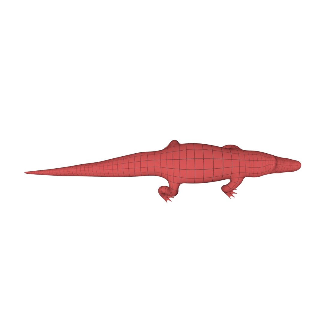 Base Mesh Alligator 3d Model