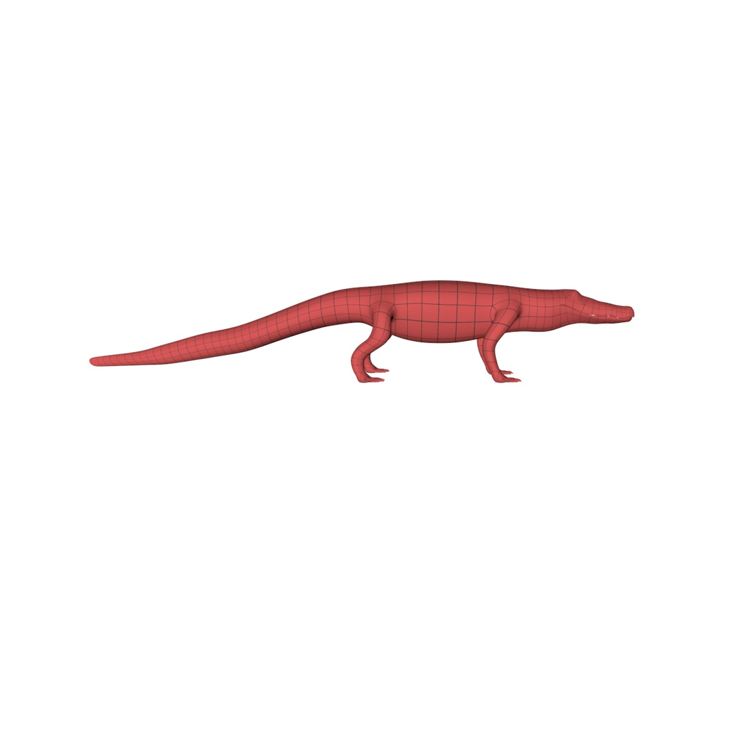 Base Mesh Alligator 3d Model