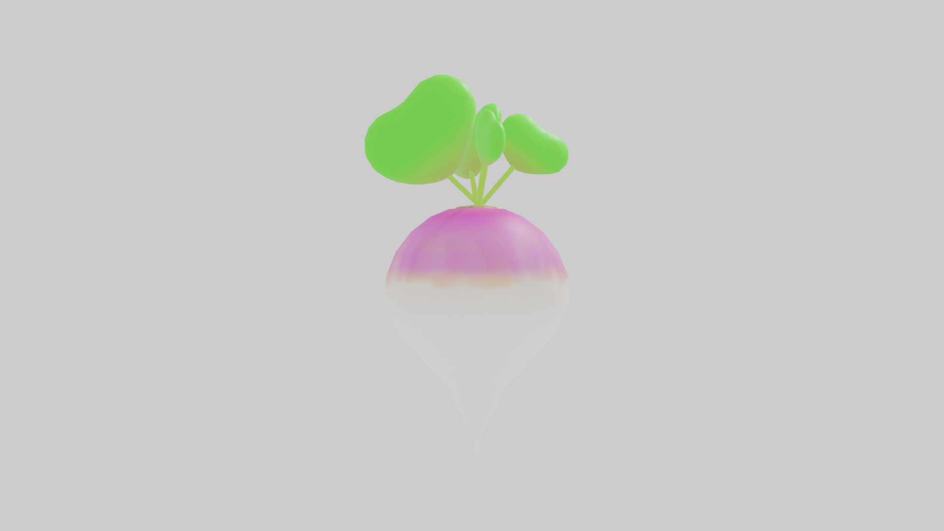 Turnip 3D Model - TurboSquid 2361174
