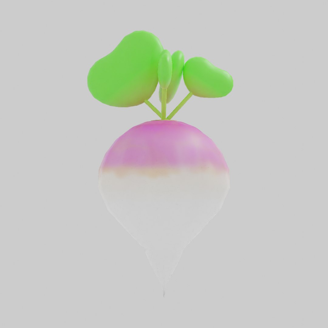 Turnip 3D Model - TurboSquid 2361174