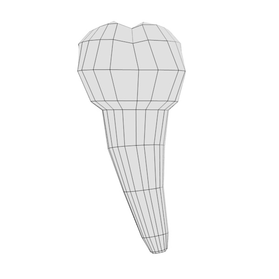 Second Premolar 3d Model
