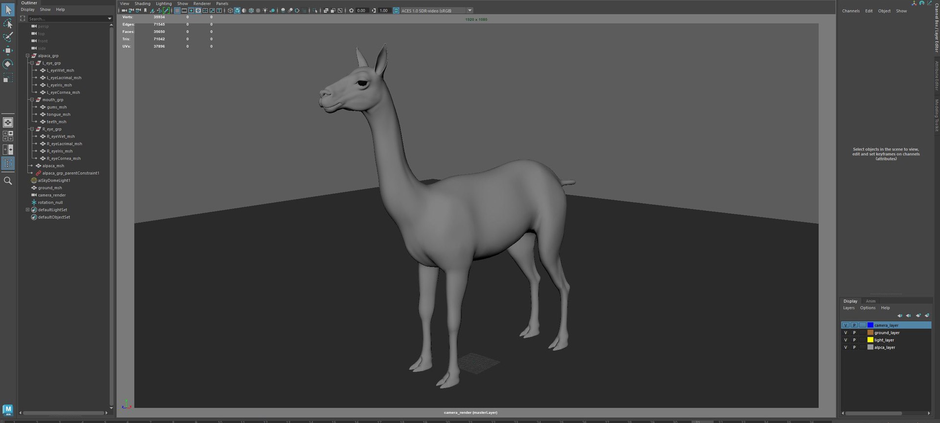 Alpaca 3D Model - TurboSquid 2010399