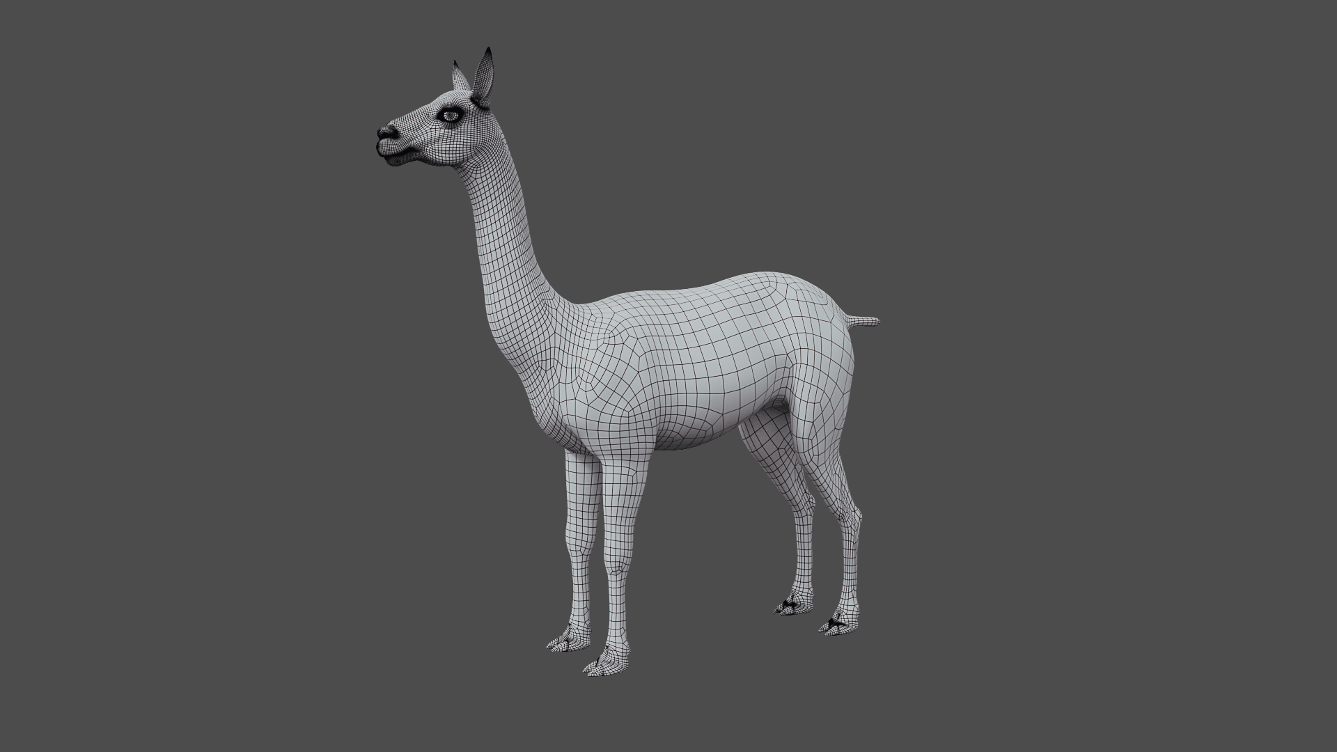 Alpaca 3D Model - TurboSquid 2010399