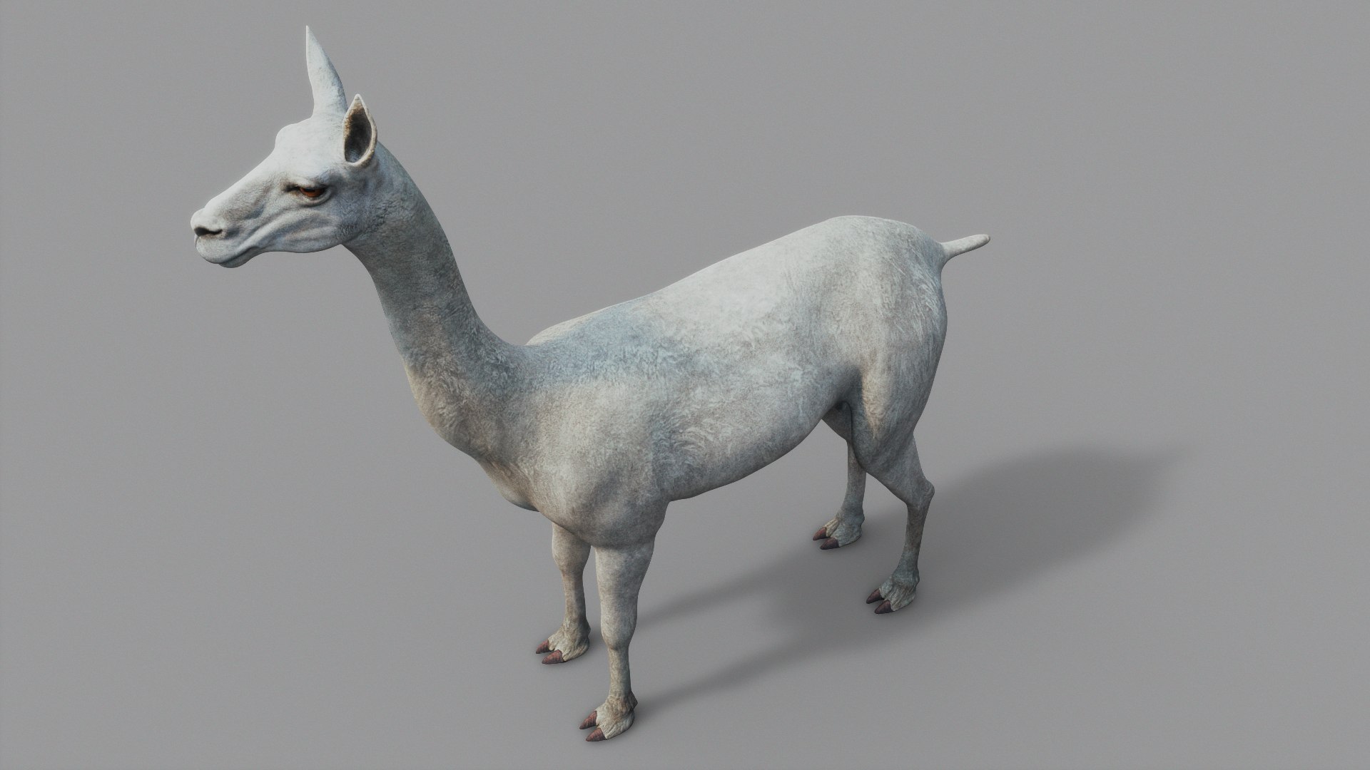 Alpaca 3D Model - TurboSquid 2010399